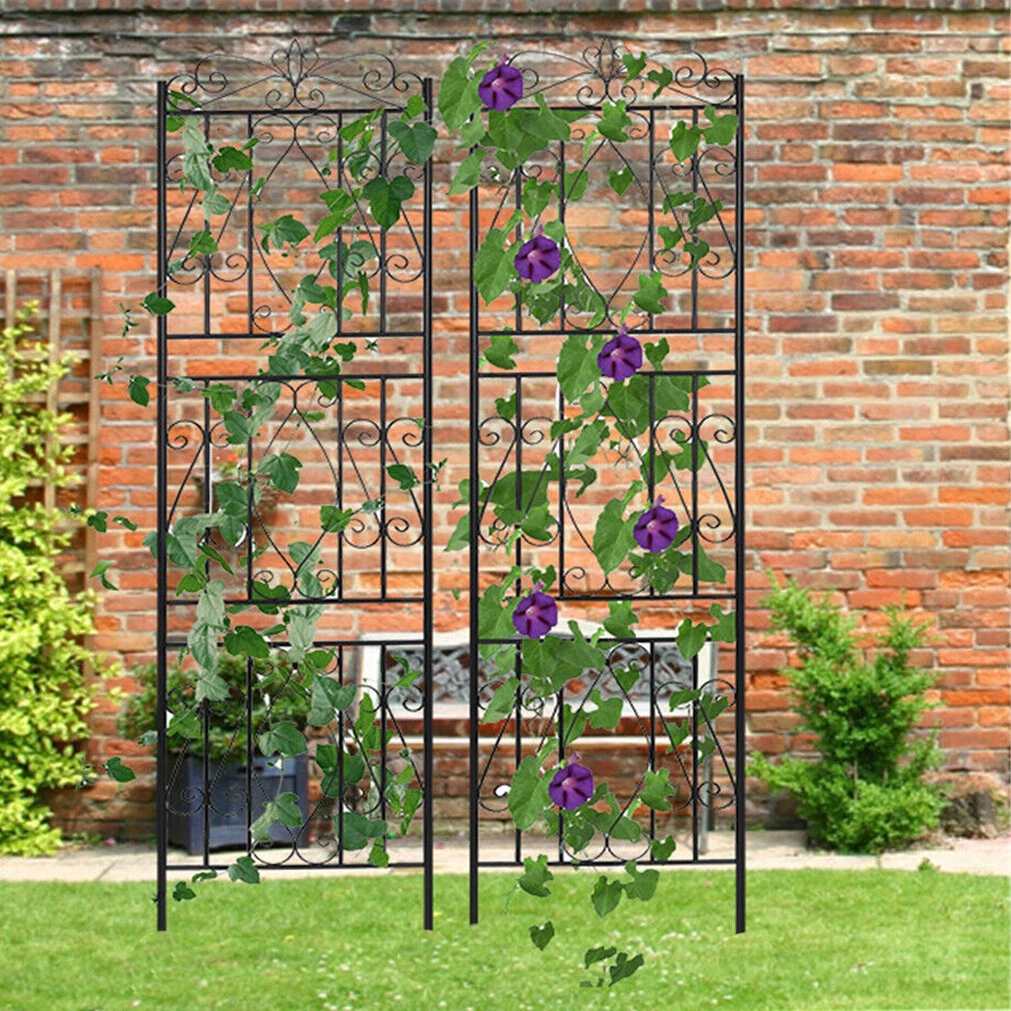 Metal Garden Trellises | Fasci Garden