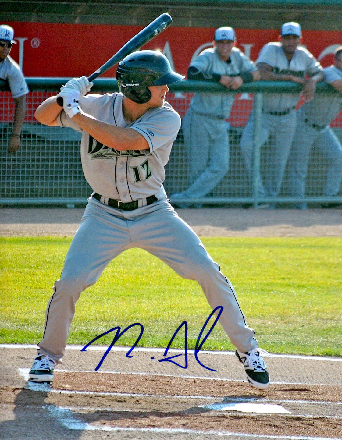 Nick Senzel Cincinnati Reds top prospect Signed baseball 8x10 photo ...