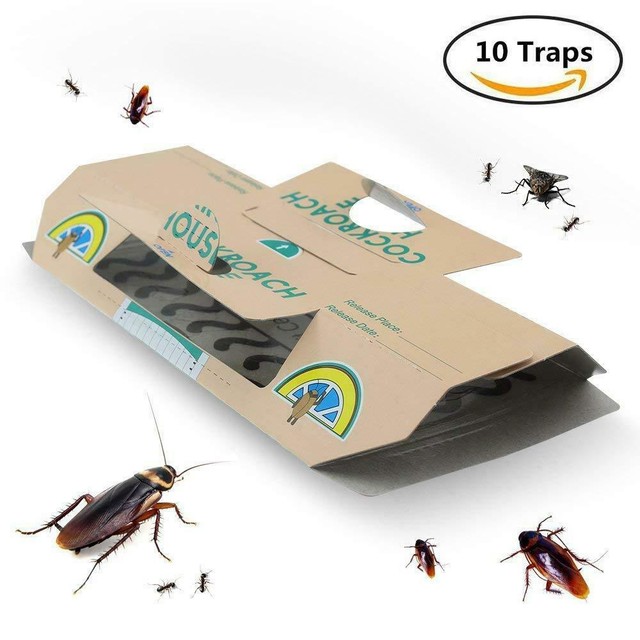 This was one of the product photos for cockroach traps I bought : r ...