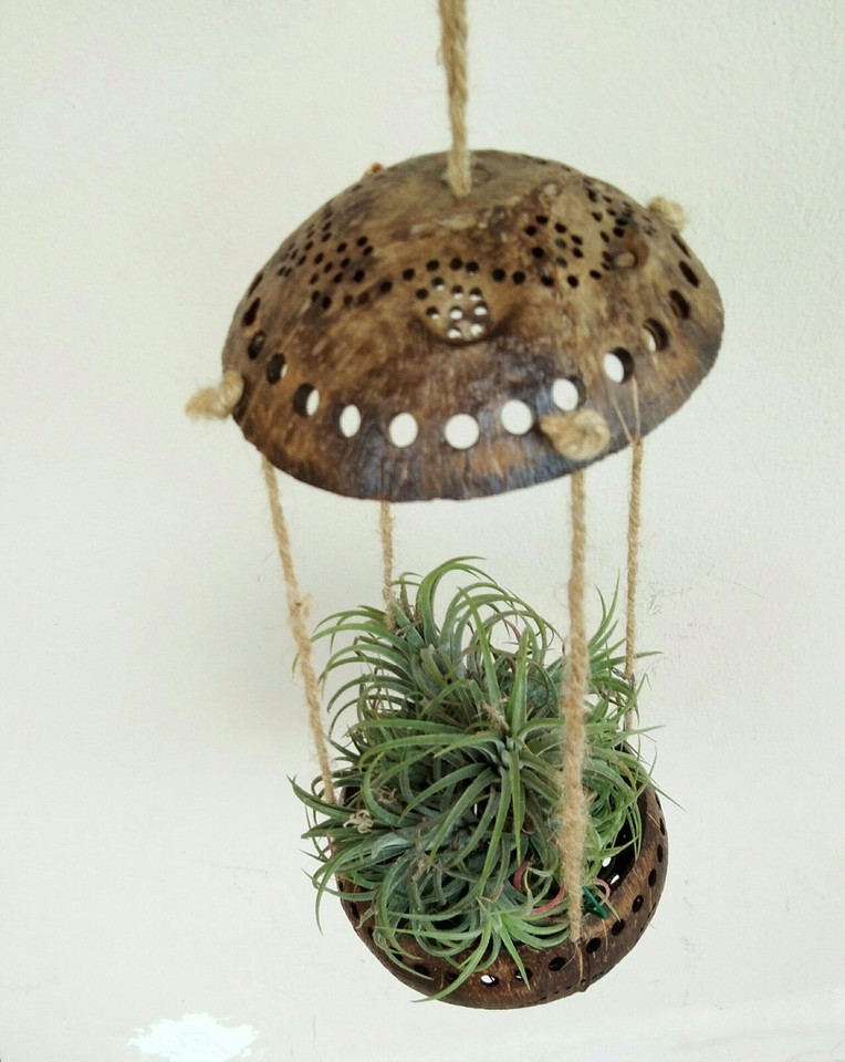 Coconut Shell Pot Planter Hanging Orchid Flower Basket Parrot Play ...