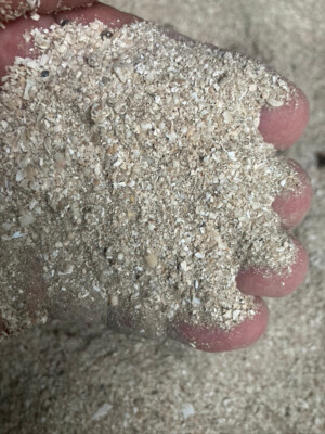 ALL NATURAL fine Calcium Grit for Finches Parakeets Doves 1 FULL QUART ...