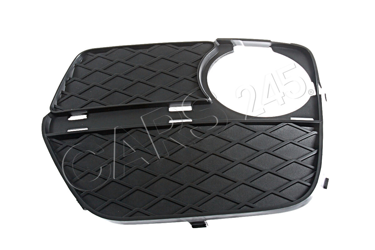 Genuine BMW X6 E71 Closed Grid Fog Light Grille Left OEM 51117312605 | eBay
