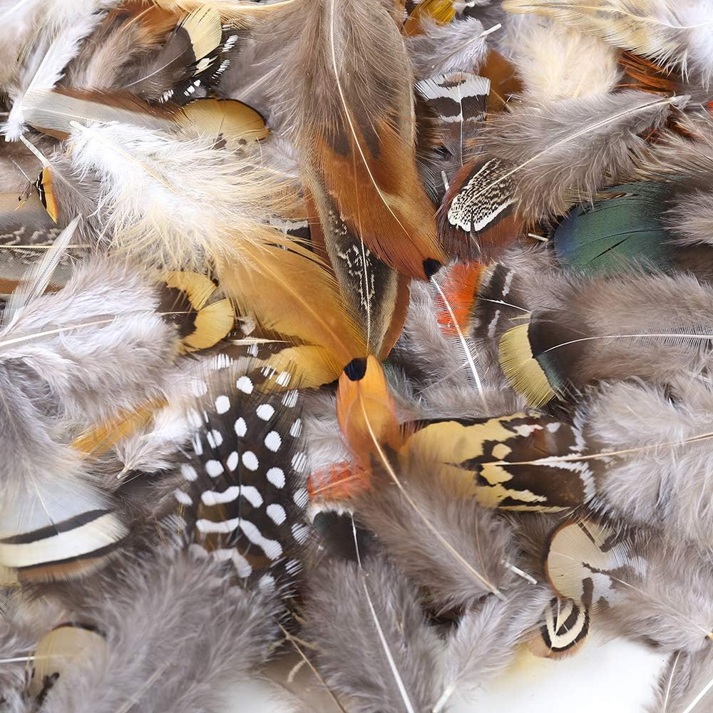 180Pcs 9 Styled Natural Feathers Assorted Mixed Feathers for Jewelry ...