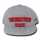 Youngstown State University YSU Penguins NCAA Flat Snapback Baseball ...