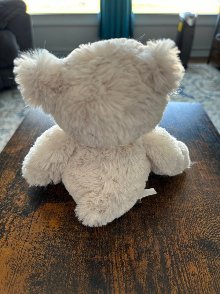 Demdaco June Birthstone Plush Teddy Bear Purple Heart on nose & foot ...