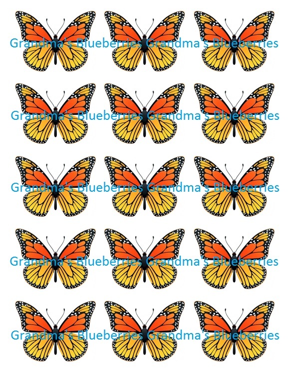 Monarch Butterfly Wedding
