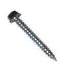 EVCO Mobile Home 1-1/4" Black Hex Head Screw (250 Pack) | eBay