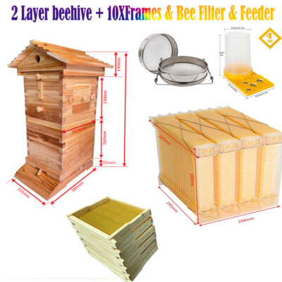 Beekeeping - Observation Bee Hive