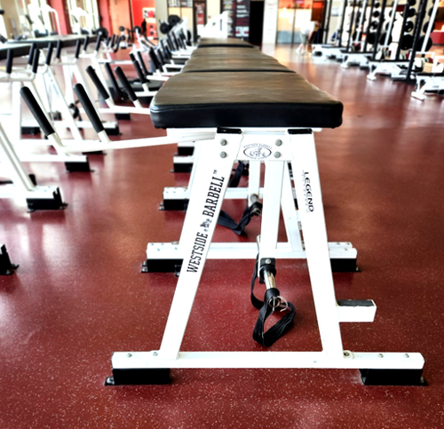 WestSide Barbell/ Legend Fitness | Plate-Loaded Reverse Hyper | eBay