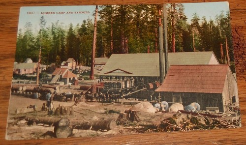 LOGGING POSTCARD LUMBER CAMP AND SAWMILL 1912 Horses Pulling Logs on ...