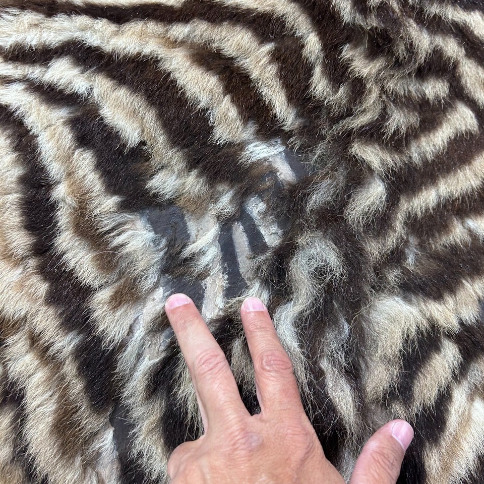 Real Zebra Skin Baby Size Real Zebra Hide D973 SMALL Size: 47X 37 ...