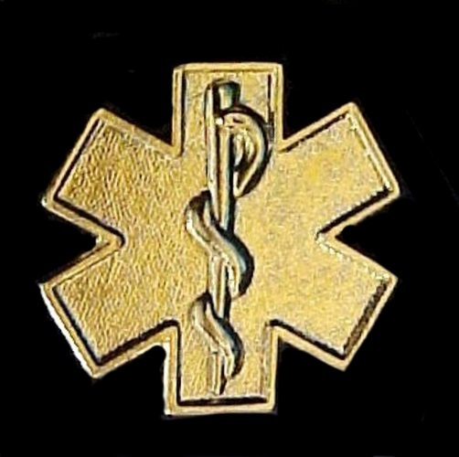 Star of Life Lapel Pin Gold Plated Cap Tac Military Clutch Medical EMT ...