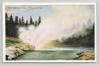 Postcard Riverside Geyser Yellowstone Park Wyoming | eBay