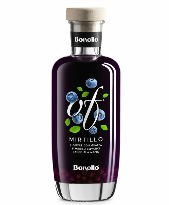 Mirtillo Bikini Top New Nicaragua Mirtillo Donna Helis Brain, Bralette