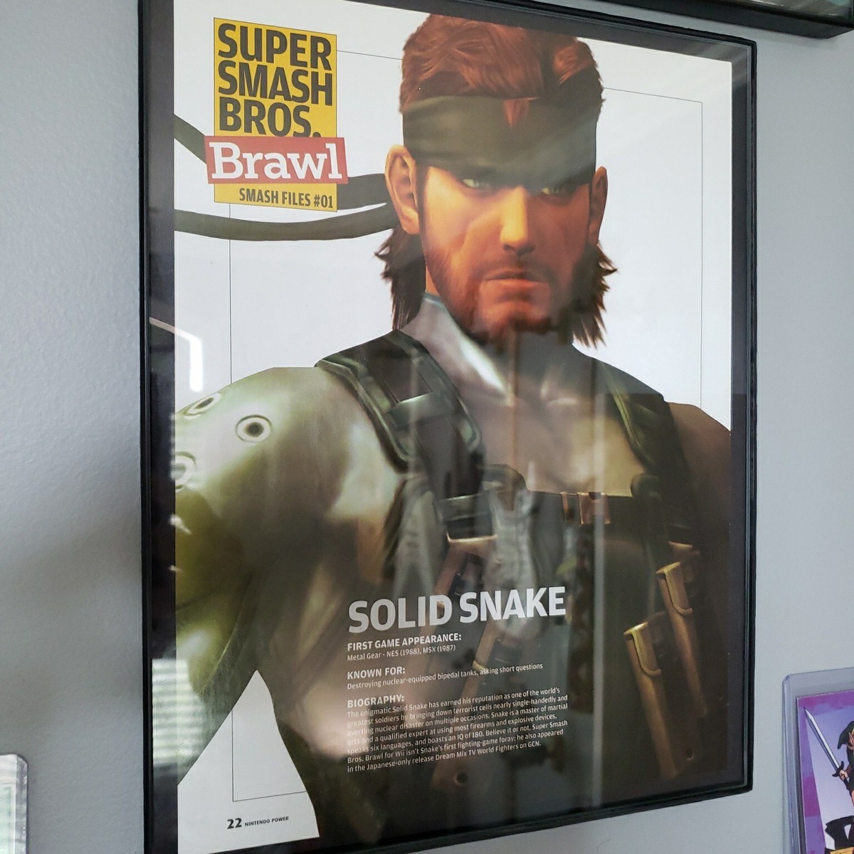 Snake Brawl Super Smash Bros. Brawl Metal Gear Solid 4: Guns Of The