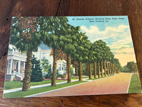 St Charles Avenue Showing Giant Palm Trees New Orleans Louisiana LA ...