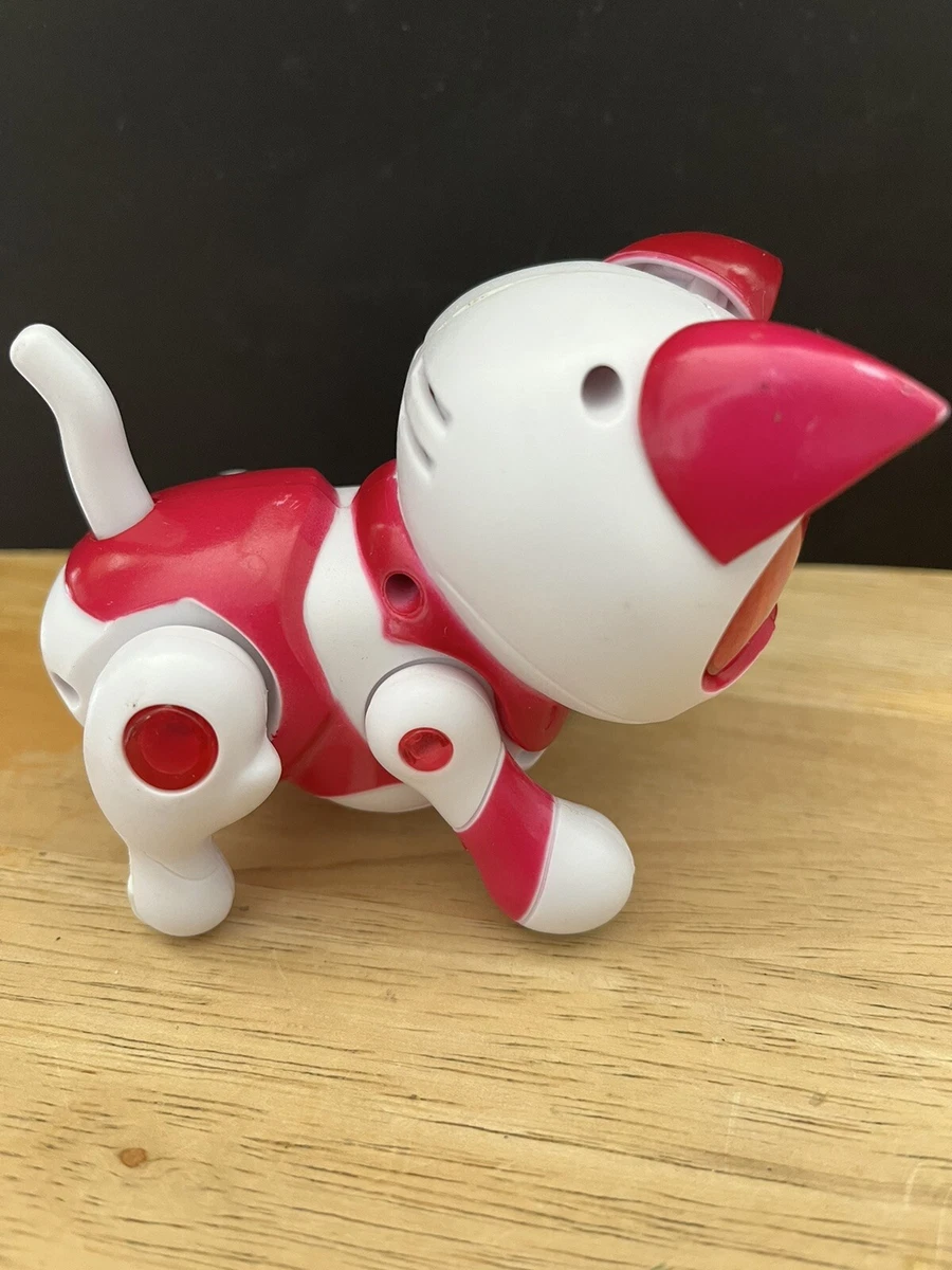Tekno Newborn Kitty