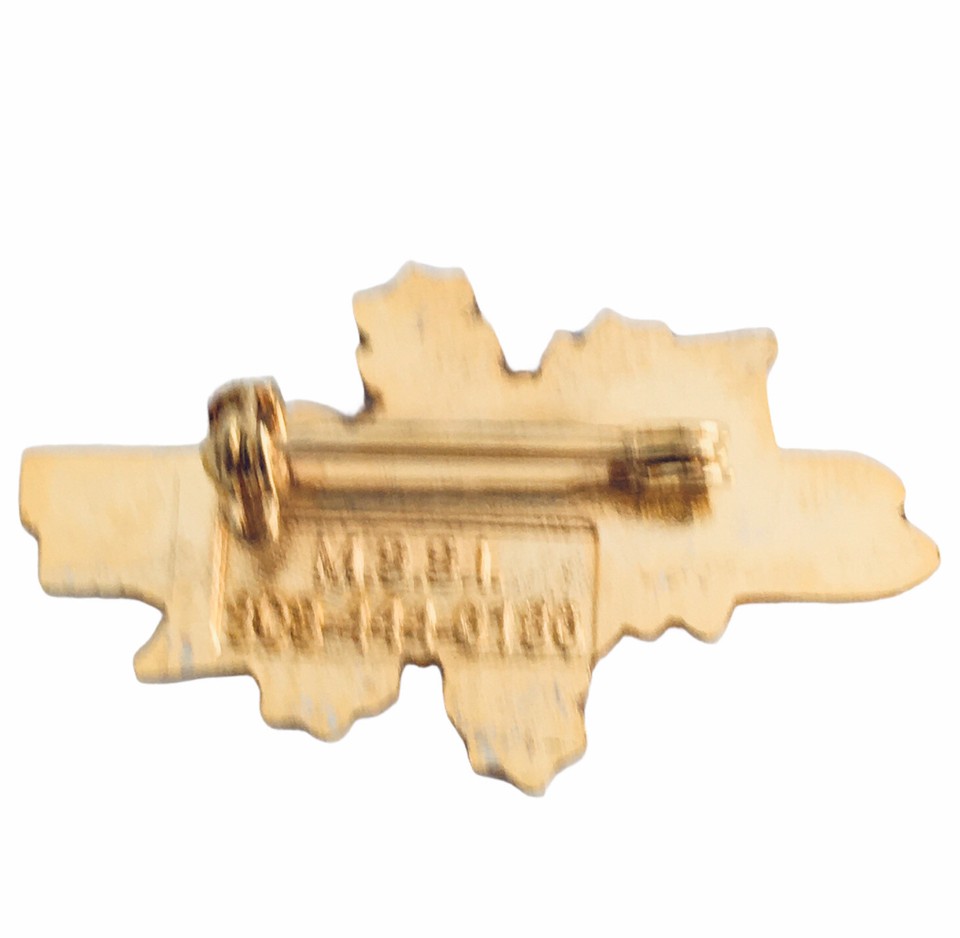 VINTAGE BEAVER CREEK VAIL COLORADO ENAMEL GOLD TONE SKI PIN BUM NEW NOS ...