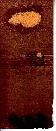 Ed. Roehr Radio Co. 2722 Locust St St. Louis Missouri MO Old Bobtail ...