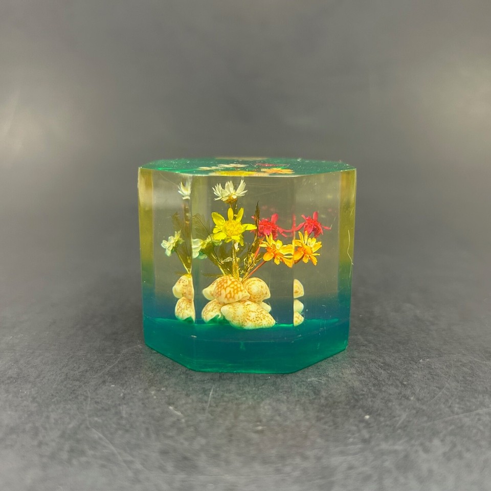 Vtg Lucite Flower and Shell Paperweight Clear with Green Base Made in ...