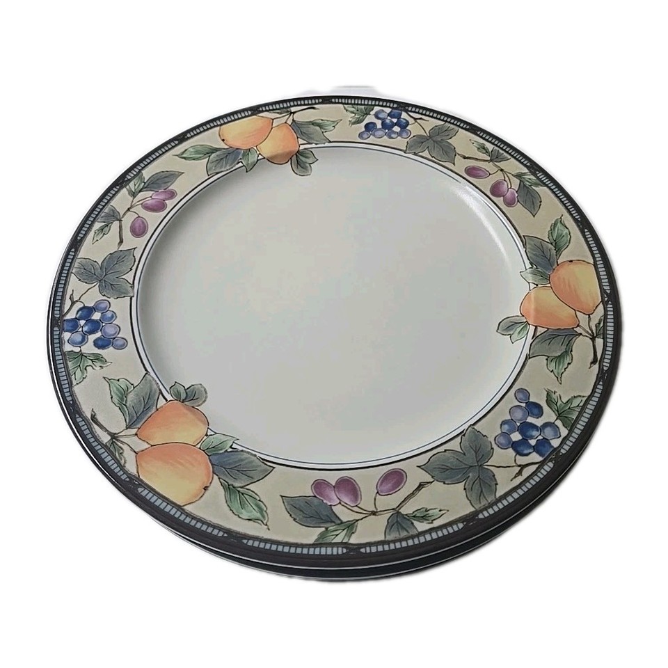 Mikasa Intaglio CAC29 Garden Harvest Dinner Plates 11" Dinner Plate Set ...