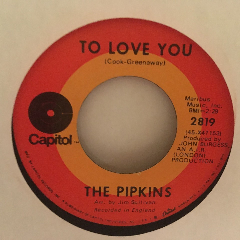 THE PIPKINS 7" VINYL SINGLE, GIMME DAT DING / TO LOVE YOU | eBay