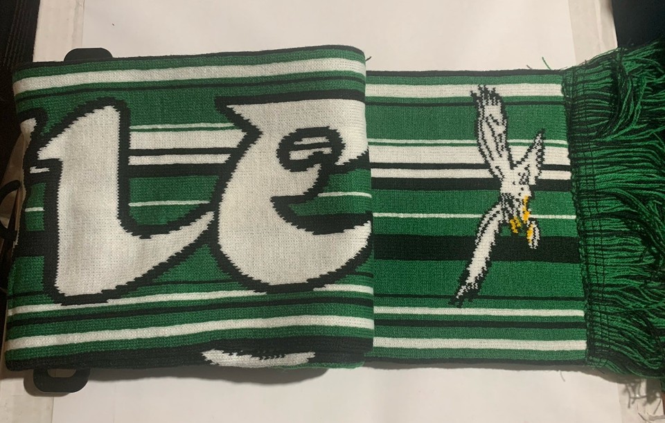 Philadelphia Eagles NFL Retro Hyper Stripe Big Logo Scarf | eBay