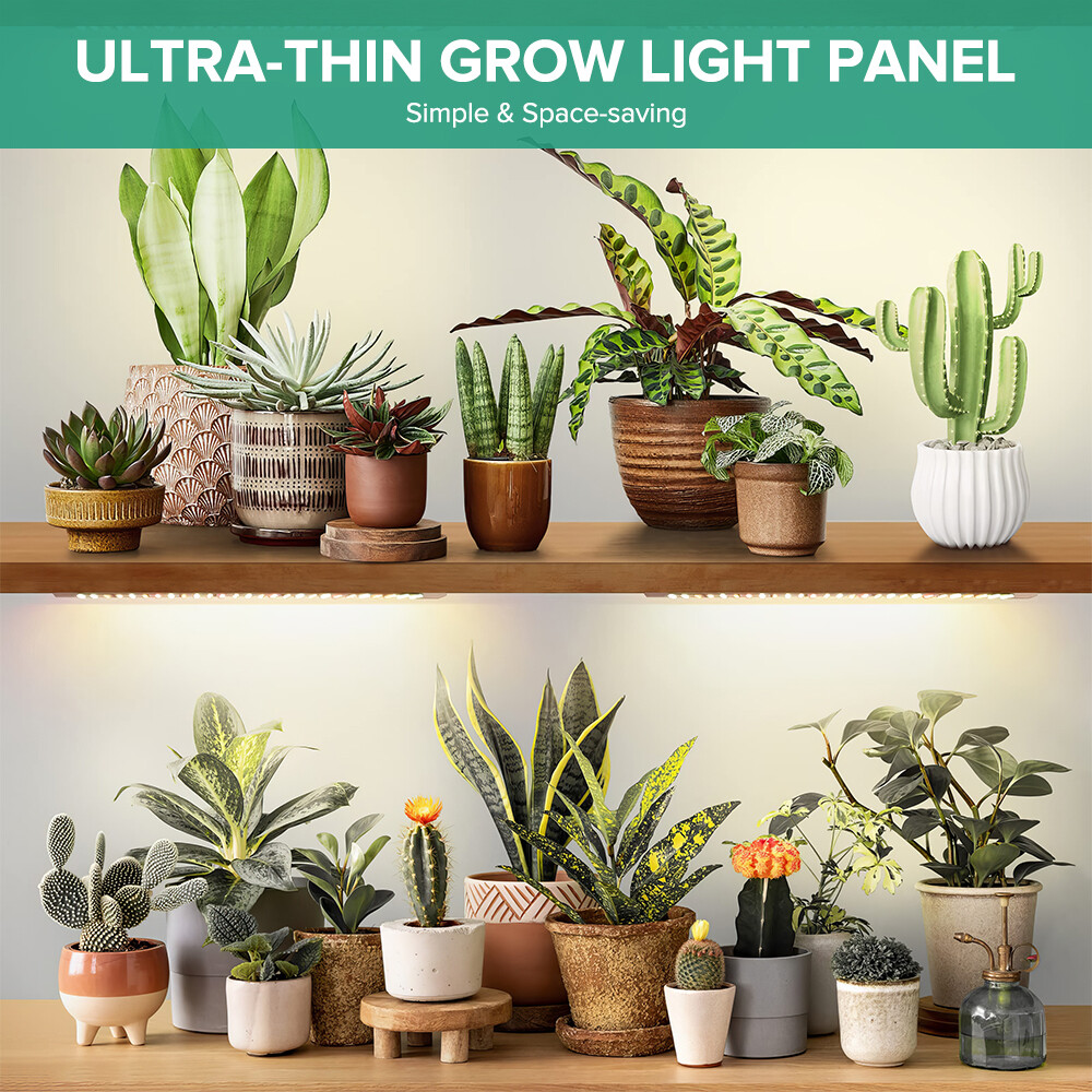 Grow Light Space Saving LED Grow Lights Pour Des Plantes Florissantes: