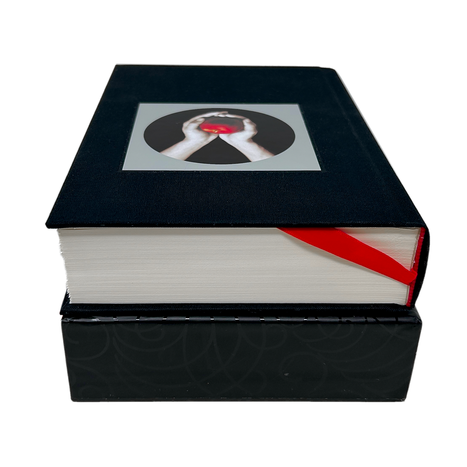 1st Printing Twilight Collector's Edition Stephenie Meyer Signed ...