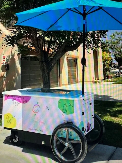 GELATO FREEZER CART 8.2 cf Cart Gourmet Ice Cream Cart Freezer Fridge ...