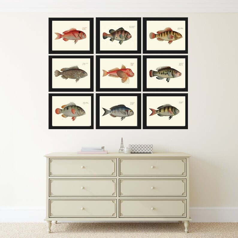 Vintage Fish Prints Wall Art Set of 9 Beautiful Antique Vintage ...