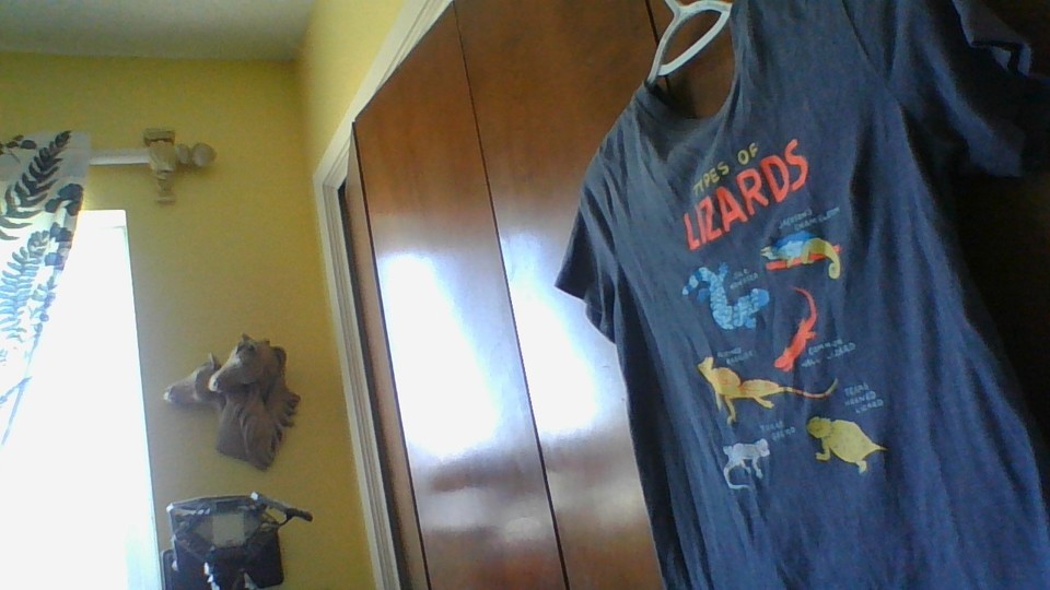 Cat and Jack Boys Size M (8/10) Types of Lizards Graphic T-Shirt Gray ...