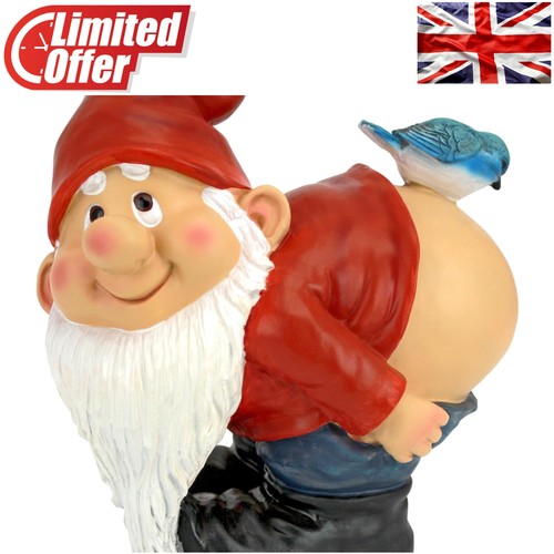 Whimsical Bare Buttocks Garden Gnome Statue - Full Color 20.25cm ...