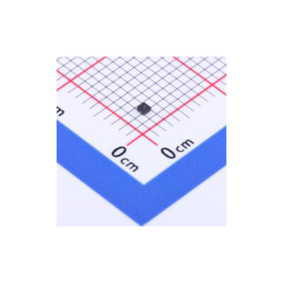 10pcs SK6013AD4-33 XDFN-4-EP(1x1) | eBay