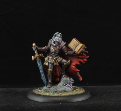 Painted Vampire Noble from Reaper Miniatures male D&D character Dracula ...