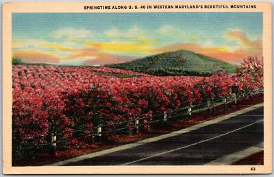 Springtime Along US40 Western Maryland's Beautiful Mountains Foresthill ...