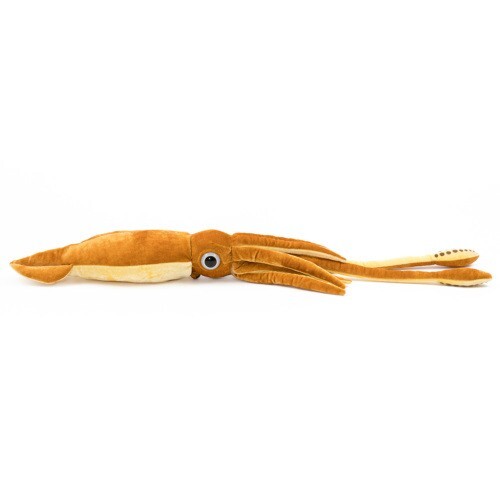 Colorata Giant Squid Plush – Medium size Real Deep-Sea Design, Safe ...