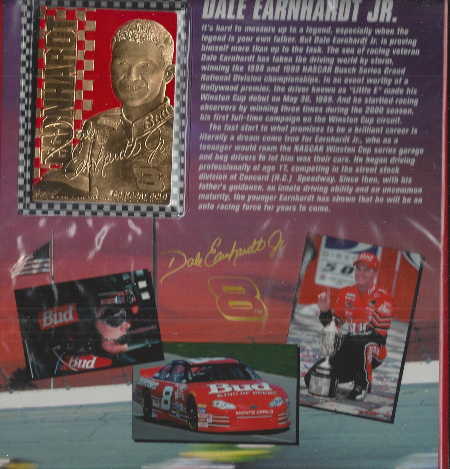 Dale Earnhardt and Dale Earnhardt Jr. Danbury Mint 2 Cards 23Kt Gold ...