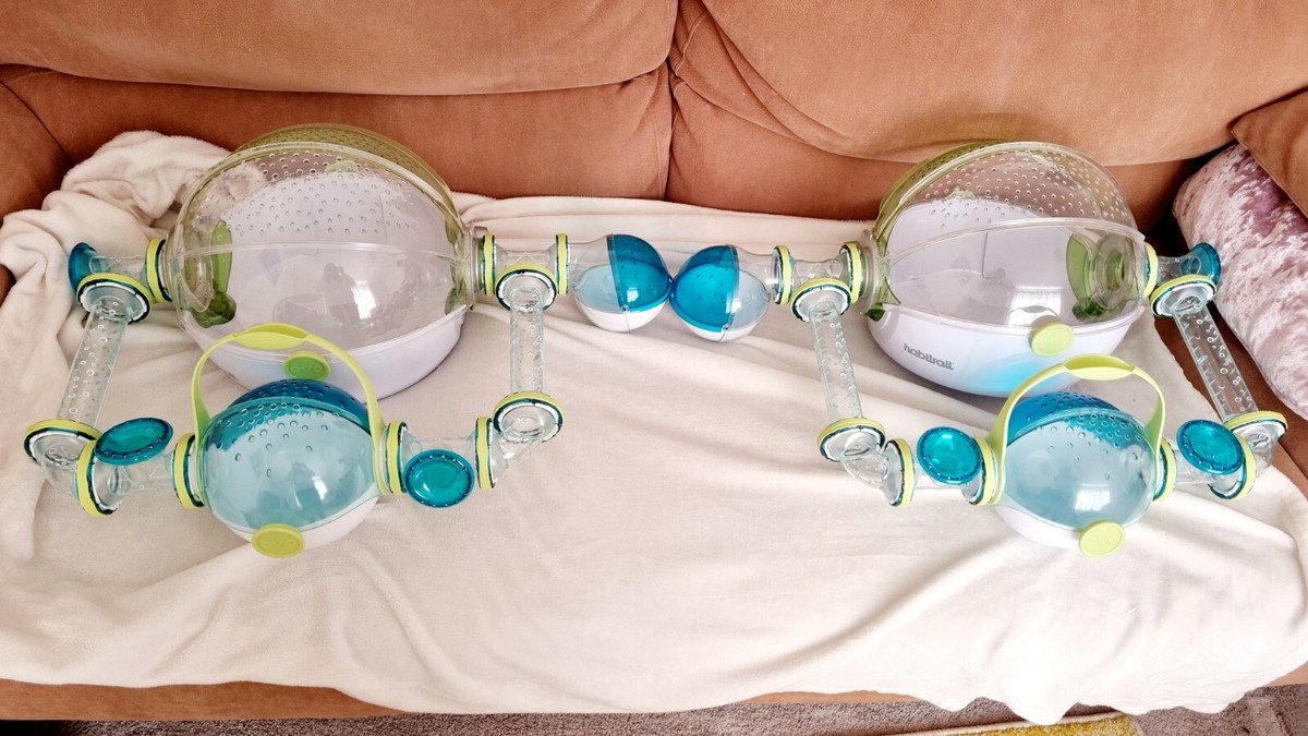 Habitrail Hamster Cages Hamstera Habitrail Ovo (Habitrail Twist Stores