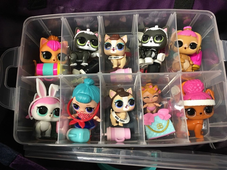 torage Organizer Case Lol Surprise Dolls Not Included | eBay
