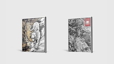 2022 Chad Tiger From the Mountains 2oz Silver + 33.5 Copper Coin Opened ...