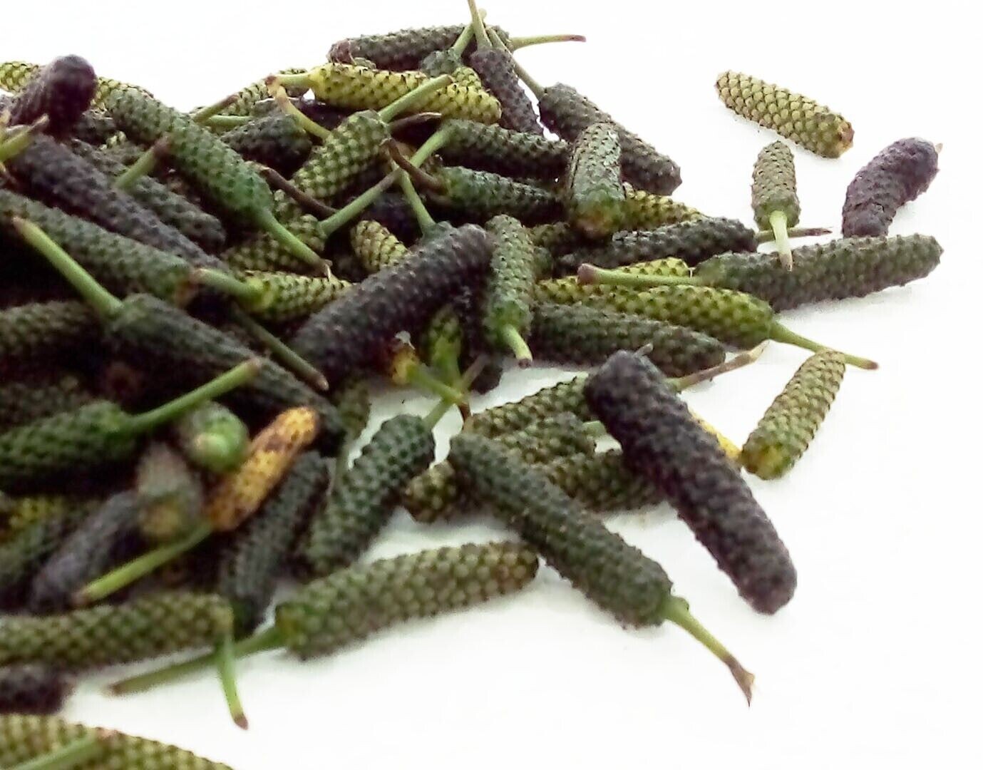 Long Pepper Natural Piper Longum Poivre Long Pippali Organic Ceylon ...