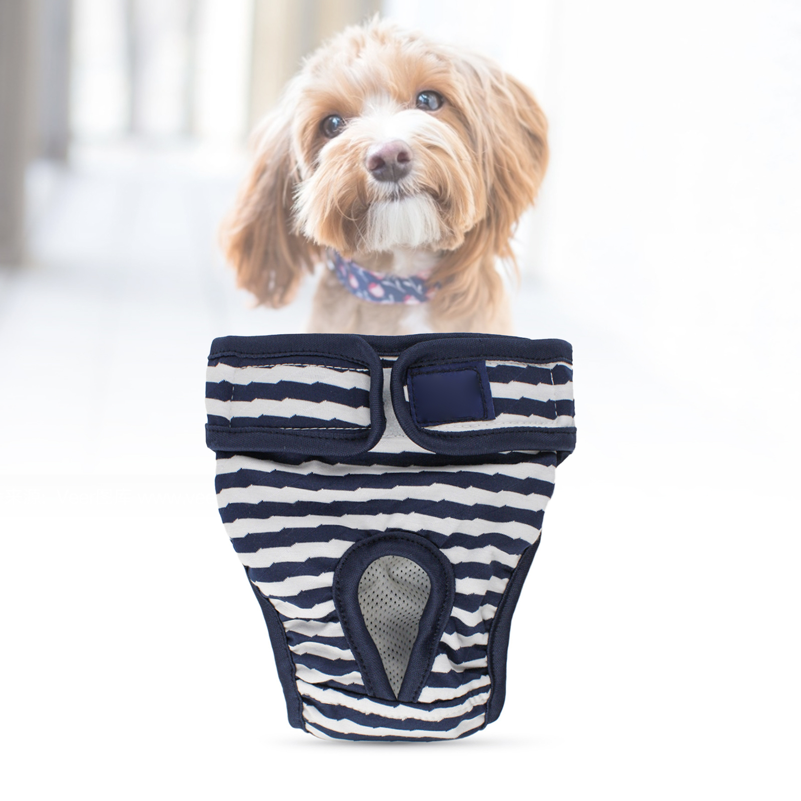 Menstrual Pants Skin-friendly Breathable Striped Dog Safety Pants ...