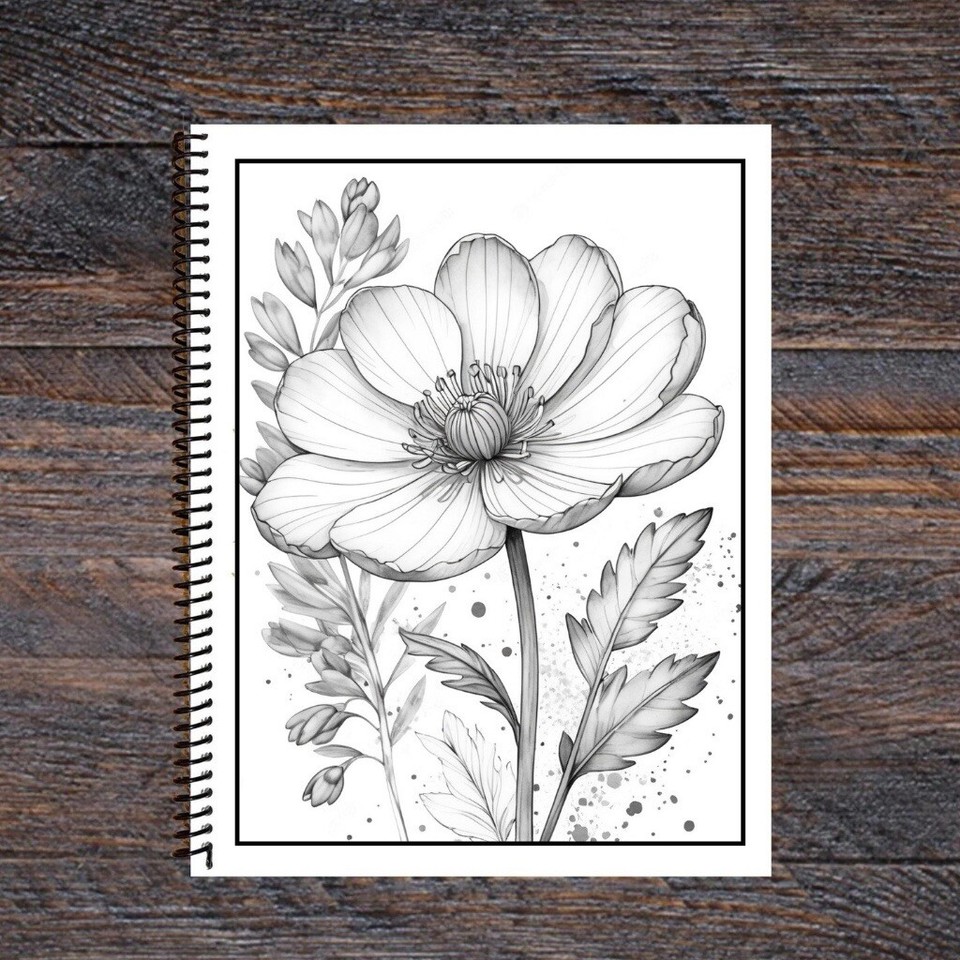 Adonis - Spiral Bound Adult Coloring Book - Thick Artist Paper - Spring ...