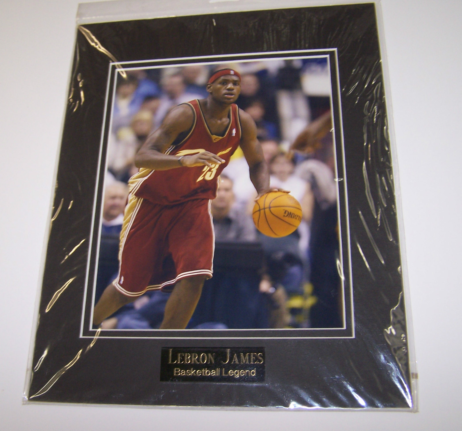 LeBron James 11x14 Matted Photo w/Name Plate Cleveland Cavaliers | eBay