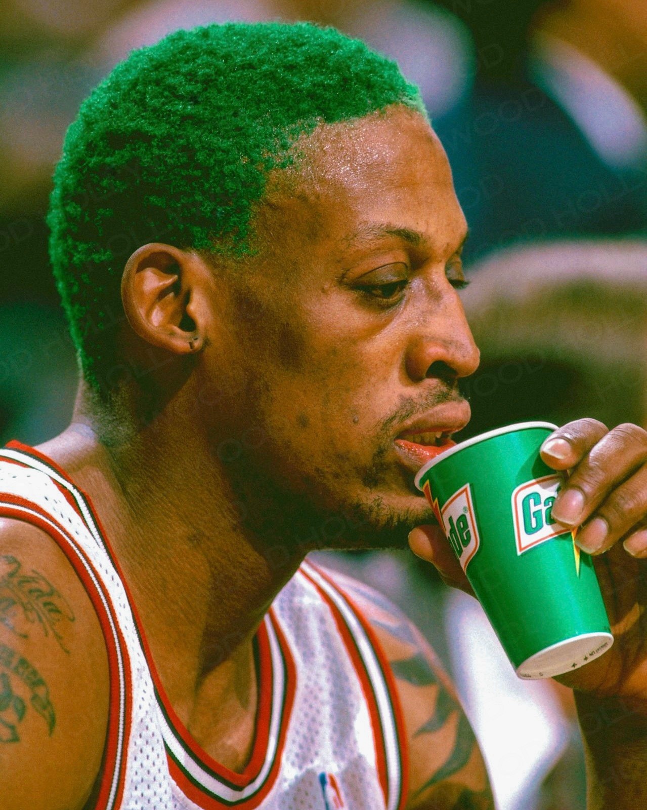 DENNIS RODMAN 8x10 PHOTO #20 - CHICAGO BULLS - WM | eBay UK