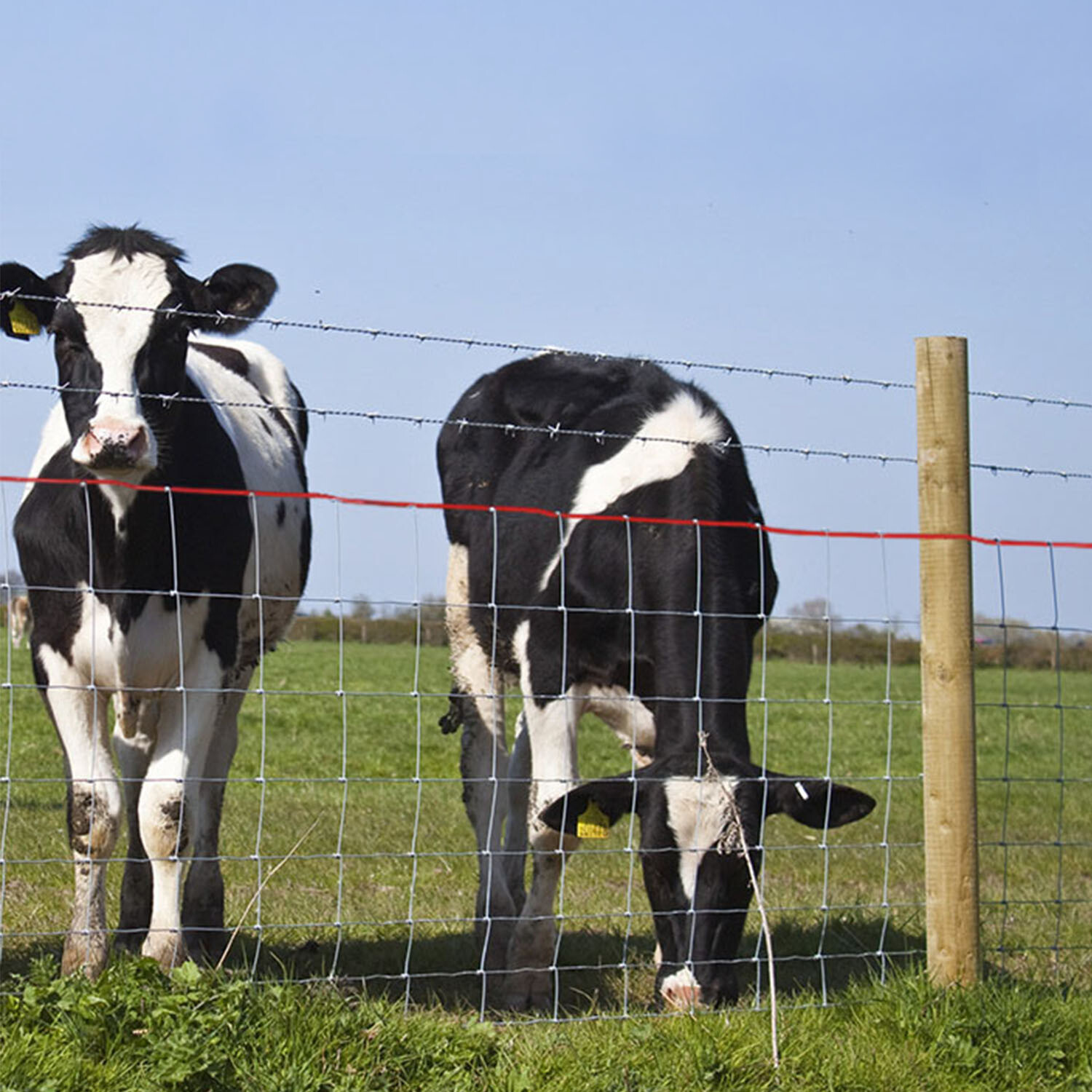 Thickened Filed Fence Farm Fence Deer Fence Goat Fence Cattle Fence 4FT ...