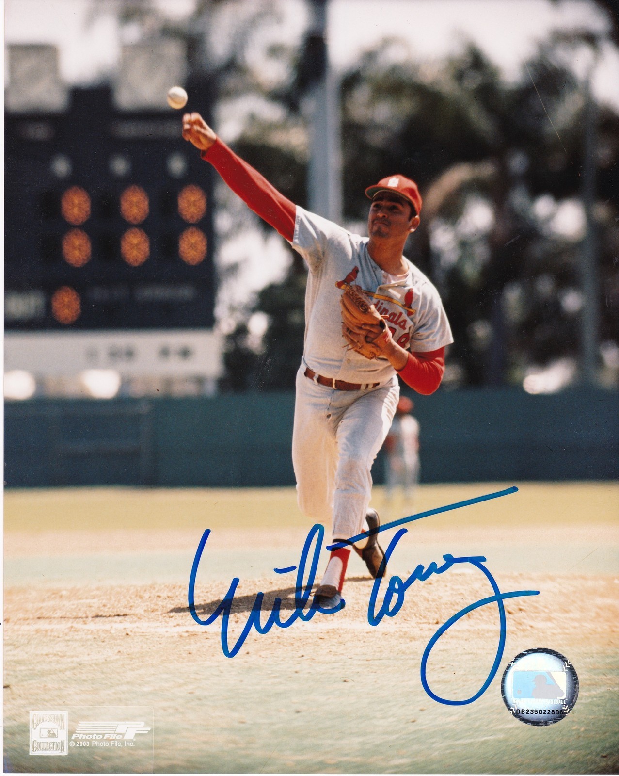 MIKE TORREZ ST. LOUIS CARDINALS ACTION SIGNED 8x10 | eBay