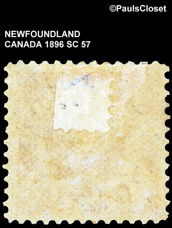 NEWFOUNDLAND 1896 SC 57 NEWFOUNDLAND DOG ORANGE RED ½¢ MHR OG FINE | eBay