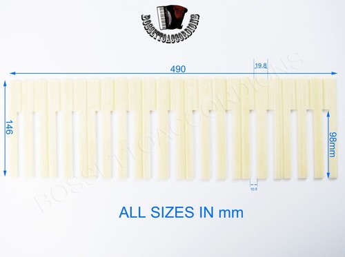 Accordion Keyboard Key Tops Keytops Set of 24 Ivory Striped Kelox 19.8 ...